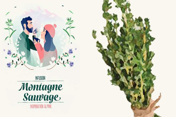 La Maison Orset crée une nouvelle gamme d’infusions - Salon Alpin